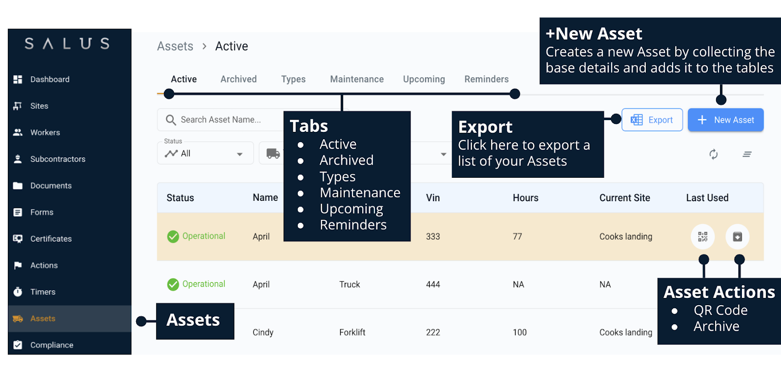 Desktop Assets Interface – SALUS