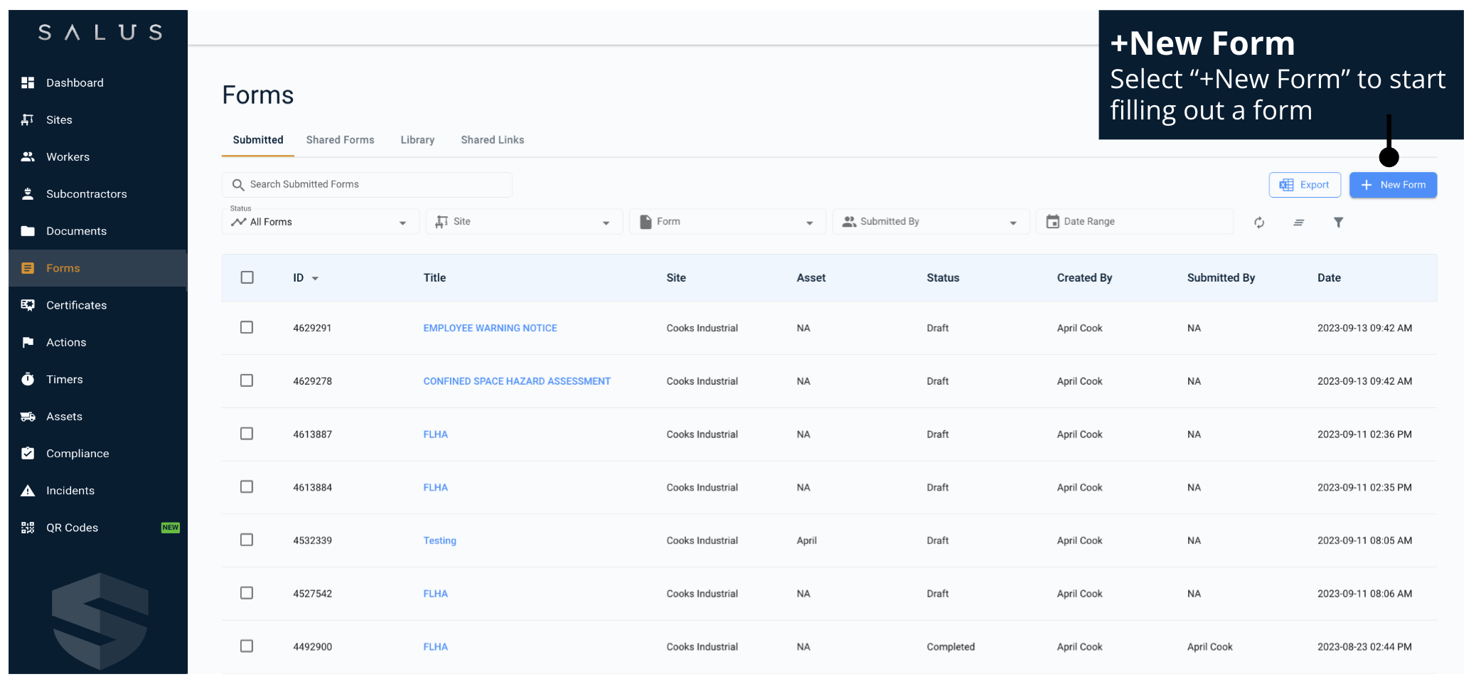 Fill out a form – SALUS