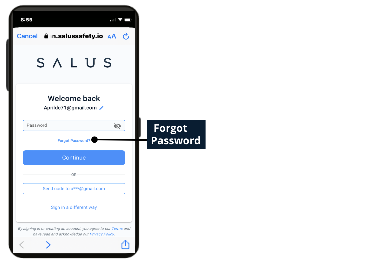 Reset your Password – SALUS