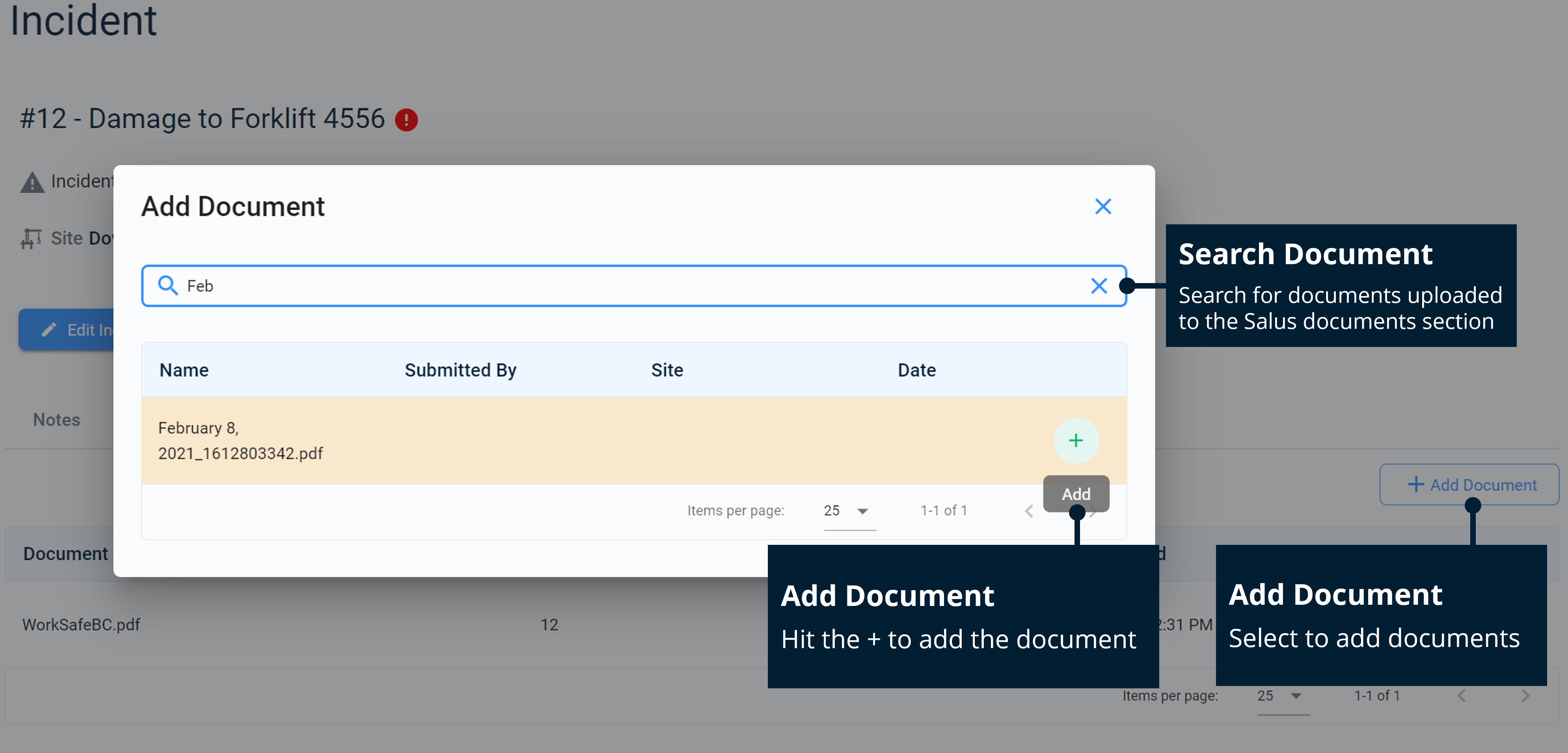Incidents Overview – SALUS